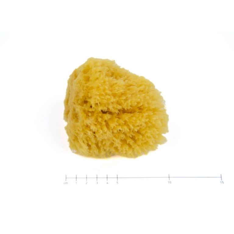 Labshop.nl | Webshop in laboratorium artikelen en benodigdheden